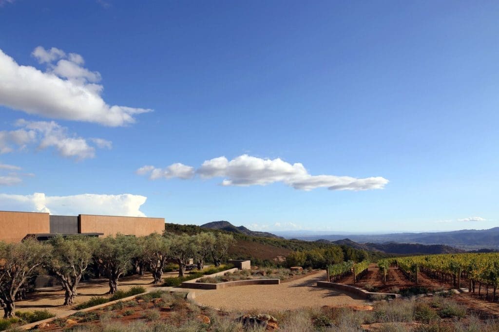 Tim Mondavi Makes His Way in the Family Wine Business | Artful Living ...