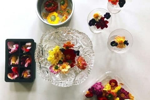 The Perfect Wine Gelée Recipe to Make This Spring | Artful Living Magazine