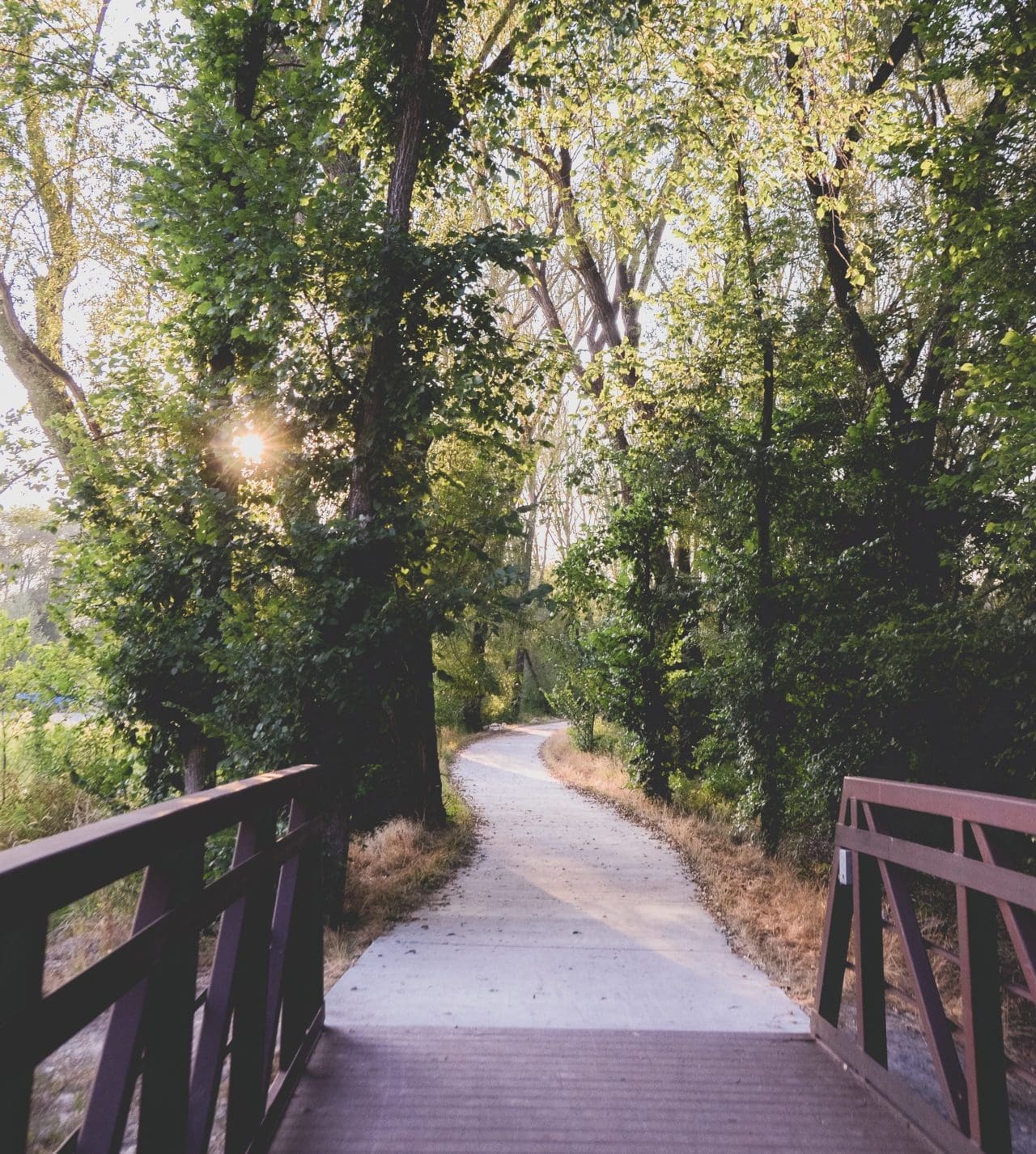 5 Ways to Refresh Your Life This Spring | Artful Living Magazine