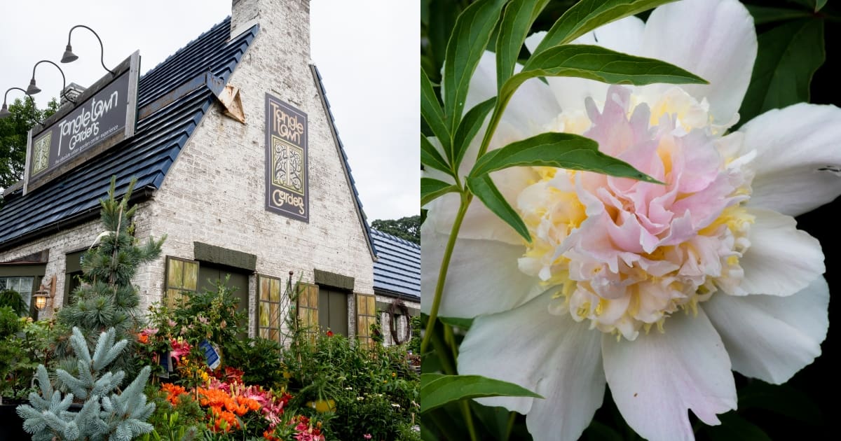 Find Fresh Inspiration at Tangletown Gardens this Summer | Artful ...