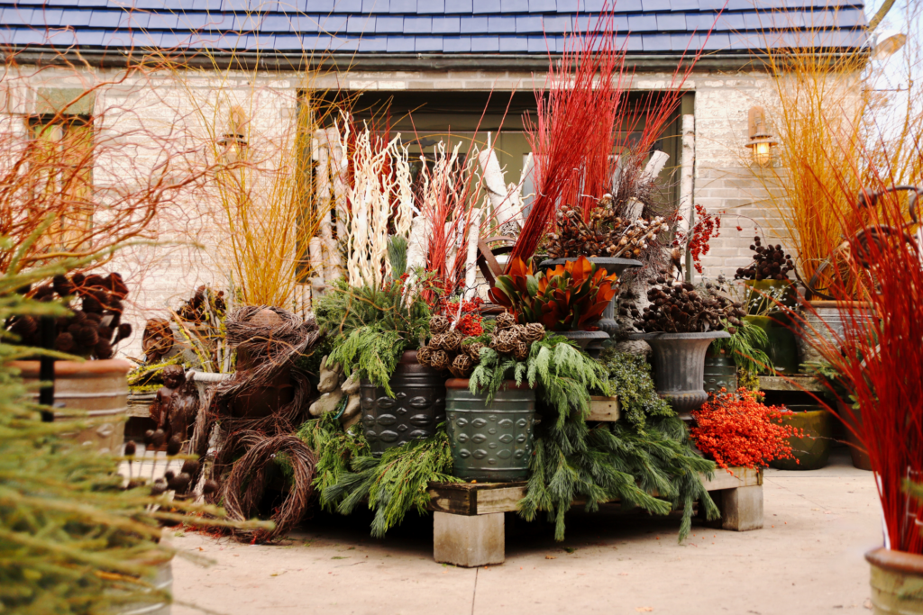 Embrace Winter Beauty in All Its Glory at Tangletown Gardens | Artful ...