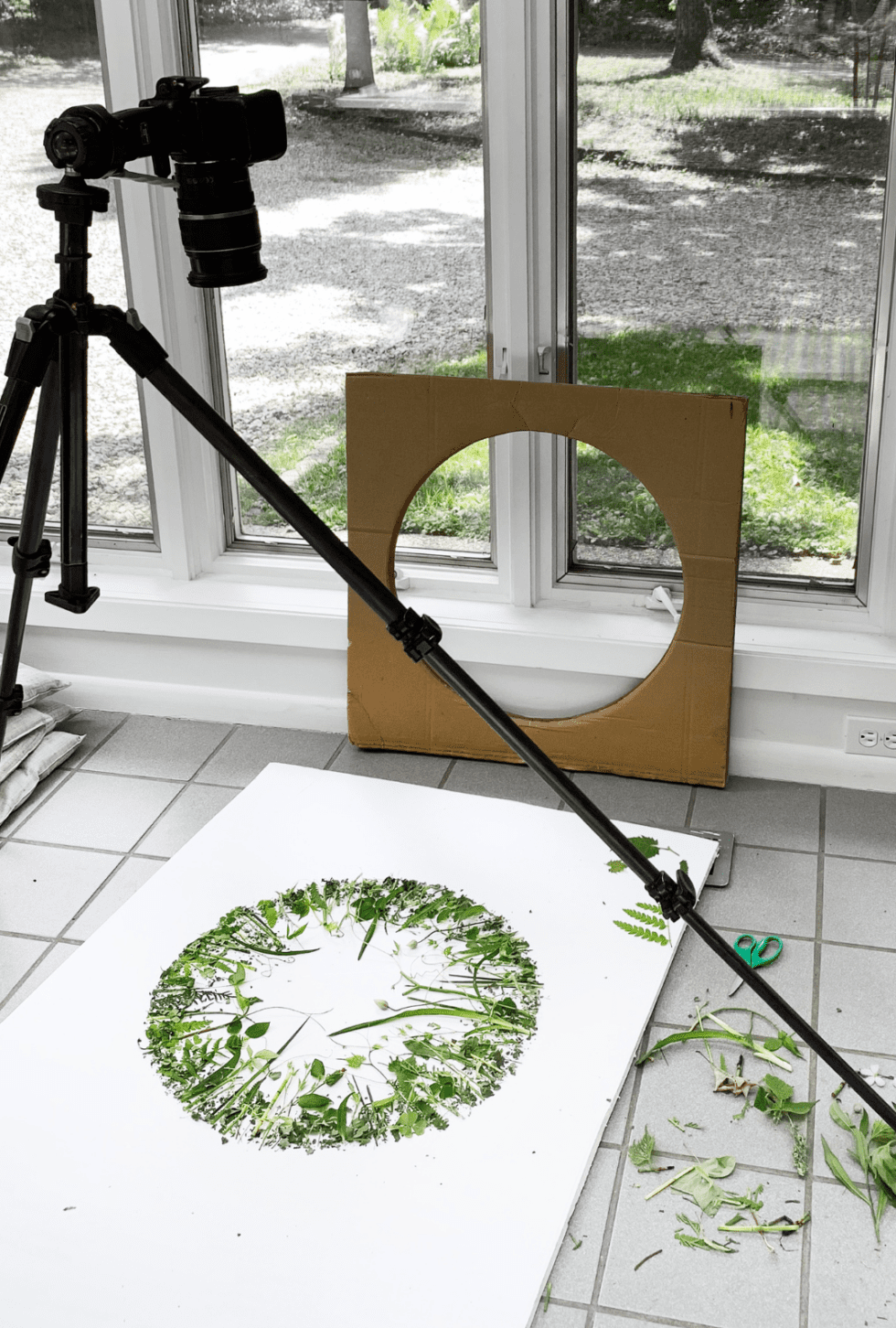 Artist Mary Jo Hoffman on Her Debut Book, “STILL: The Art of Noticing ...