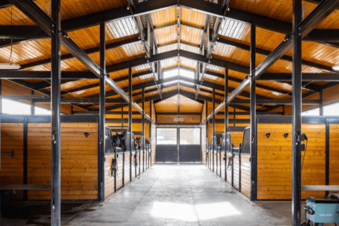 Step Into the World of High-End Equestrian Architecture | Artful Living ...