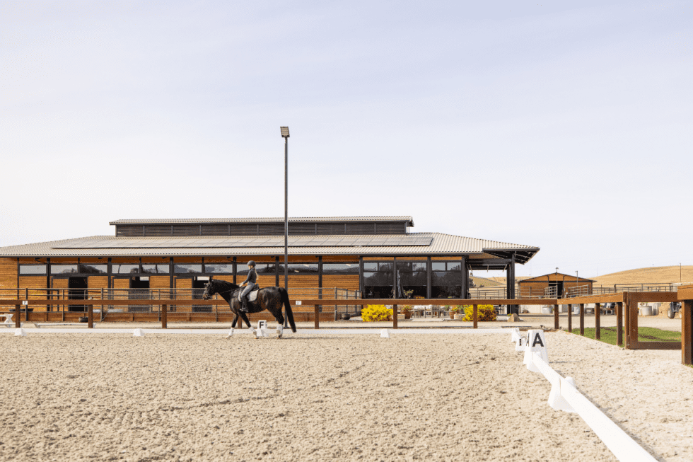 Step Into the World of High-End Equestrian Architecture | Artful Living ...