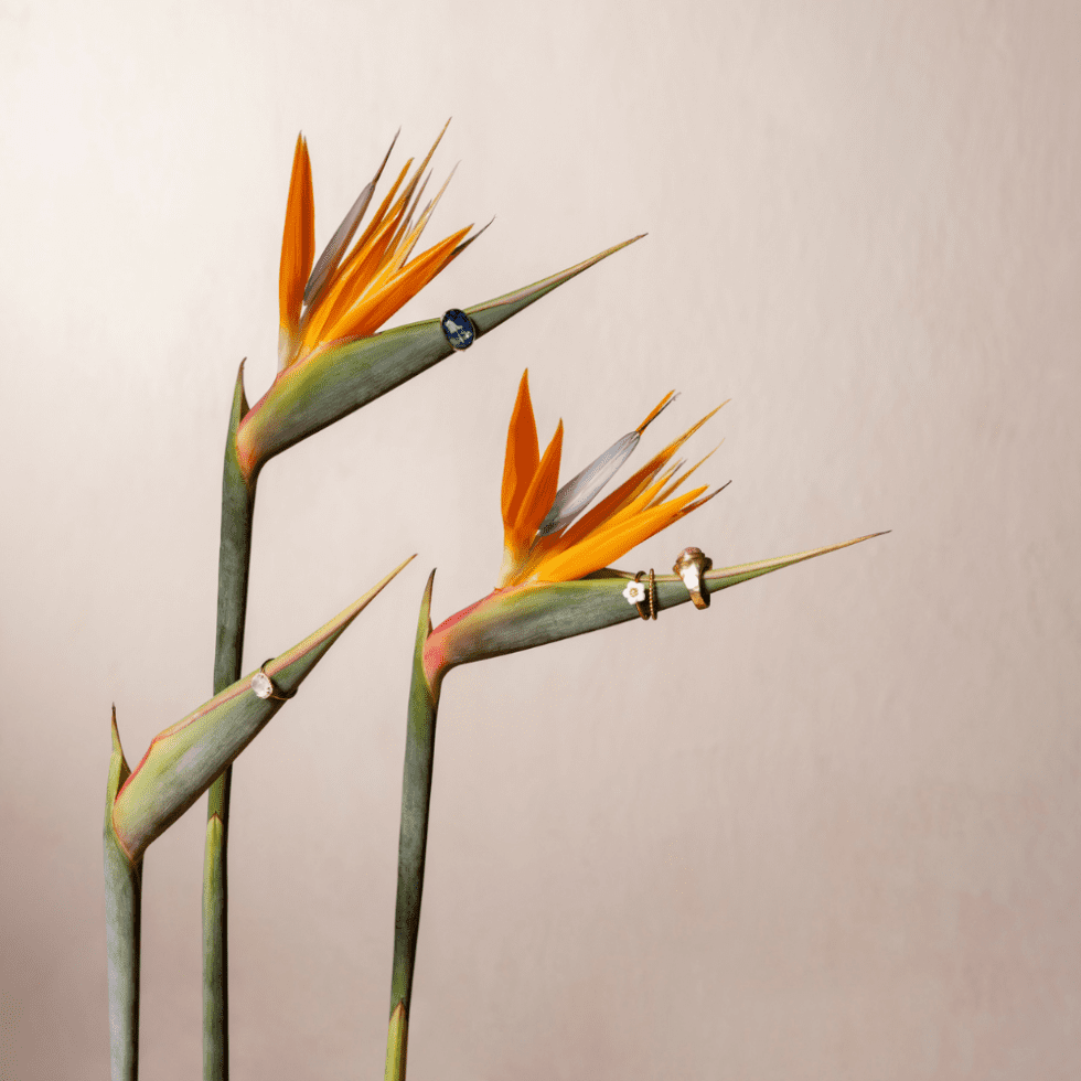 The Guide: Embrace Drama with Eye-Catching Accessories | Artful Living ...