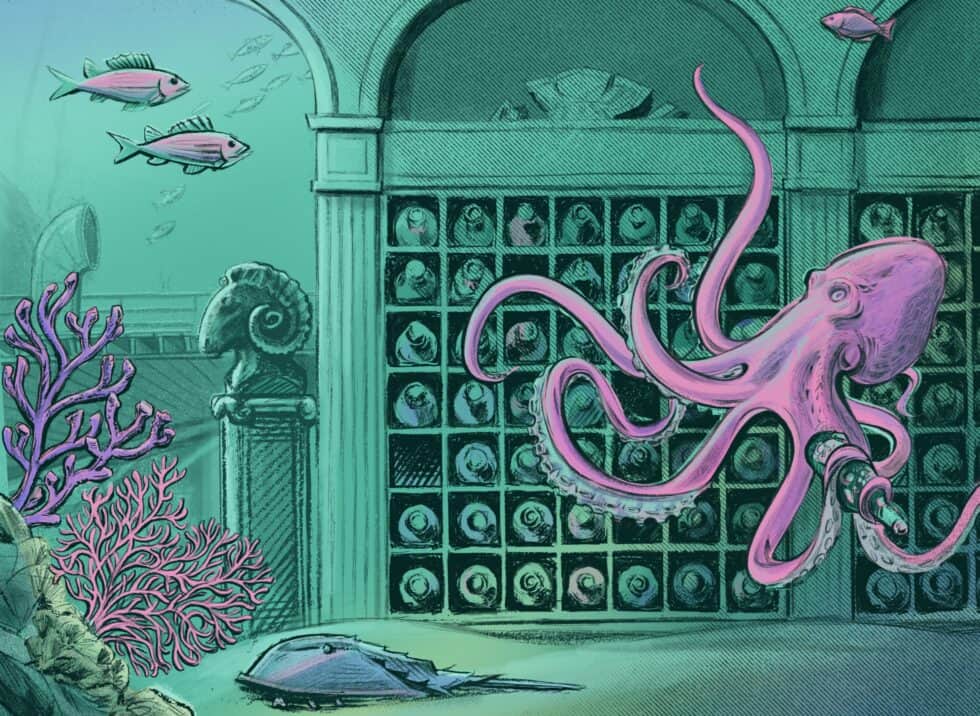 Discover the Hidden World of Underwater Wine Cellars | Artful Living ...